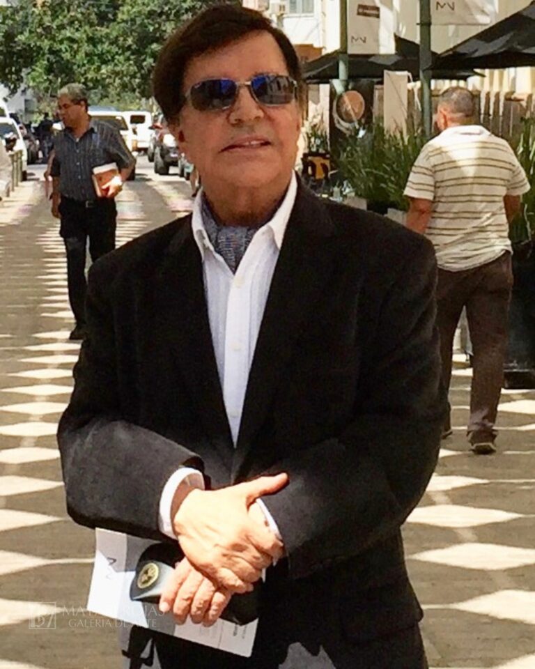 Elmar Rojas – Galería Mayarí Rojas